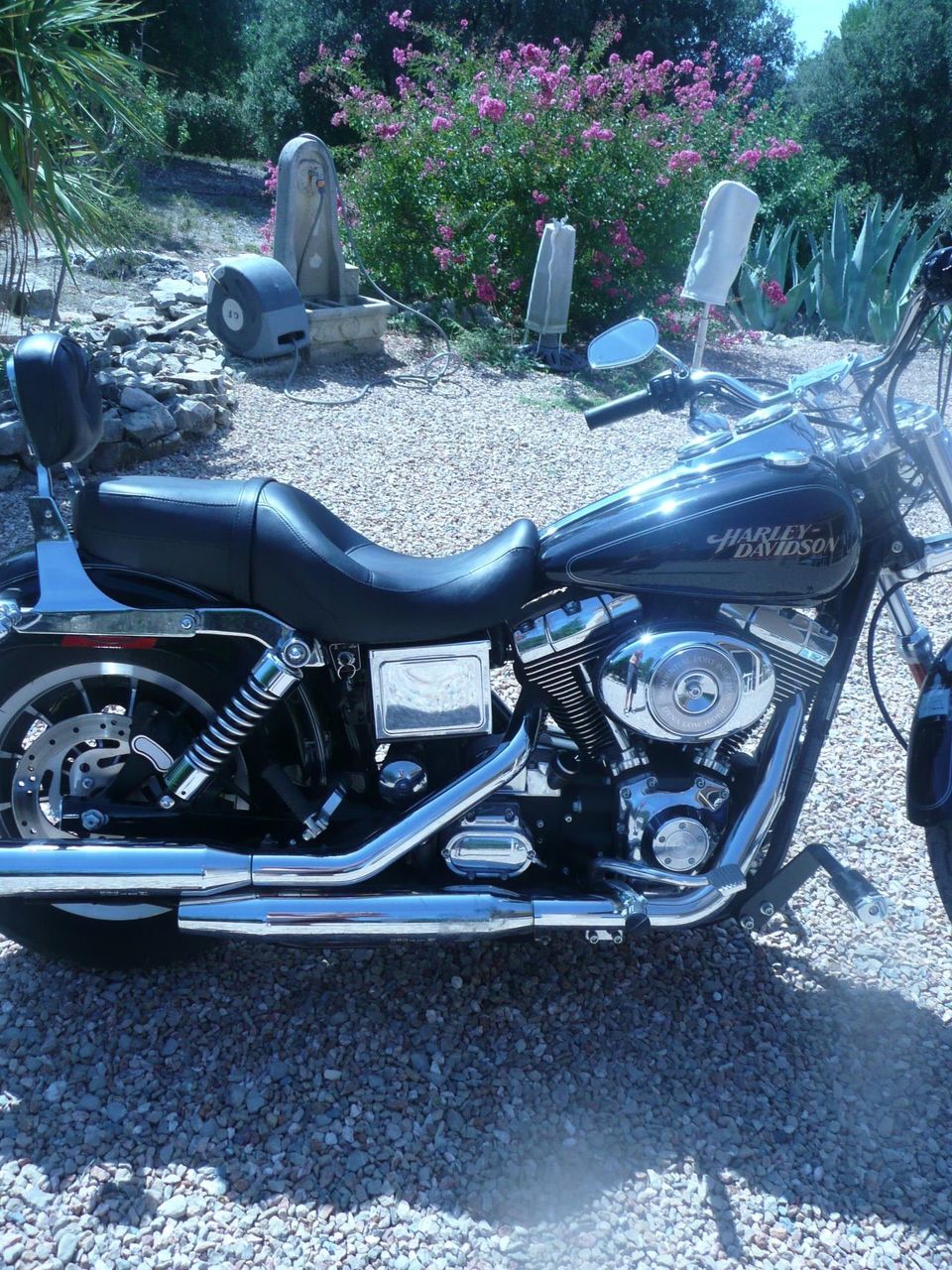 HARLEY DAVIDSON DYNA LOW RIDER 1450 - Var - Bonnie&Car occasion