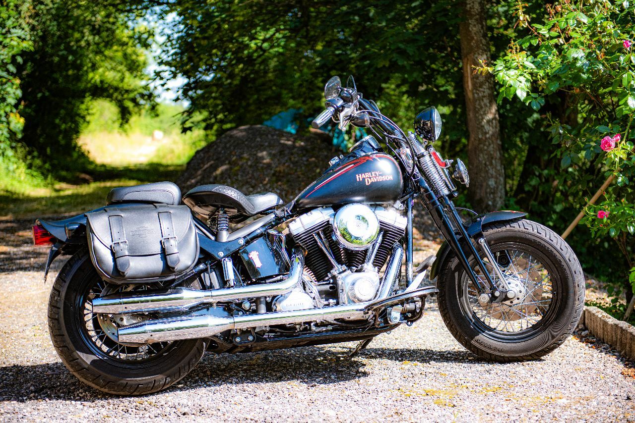 HARLEY DAVIDSON CROSS BONES 1584 - Meurthe Et Moselle - Bonnie&Car occasion